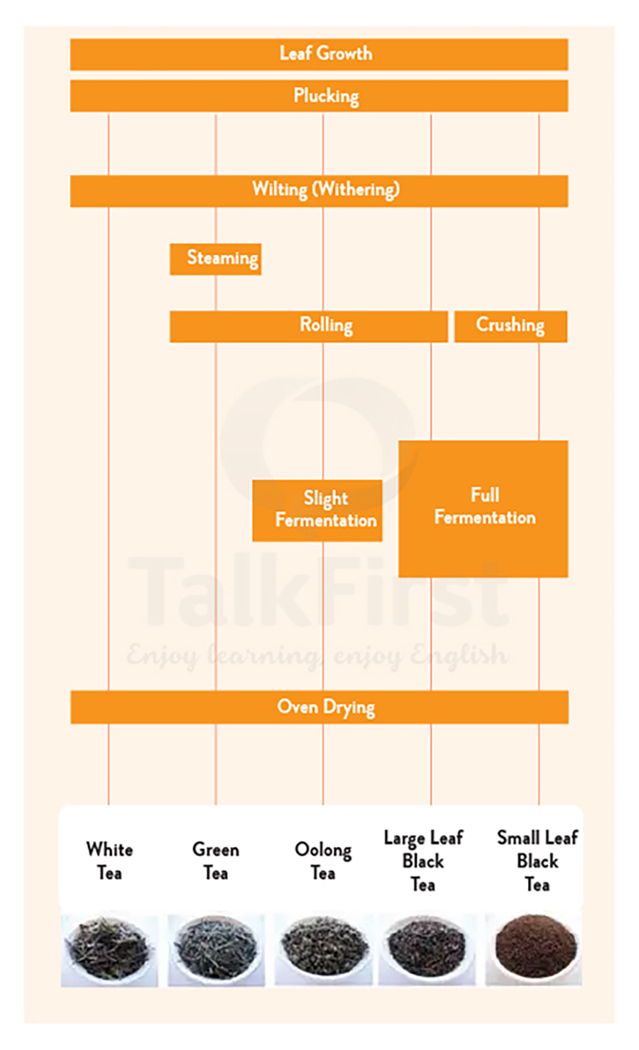Đề thi IELTS Writing 2024 tại IDP & BC [Update liên tục]
